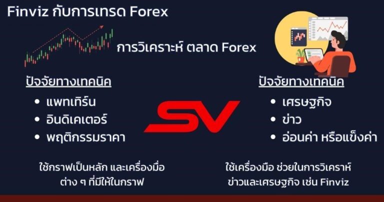 Finviz คืออะไร สรุปข้อมูลภาพรวม อย่างละเอียด