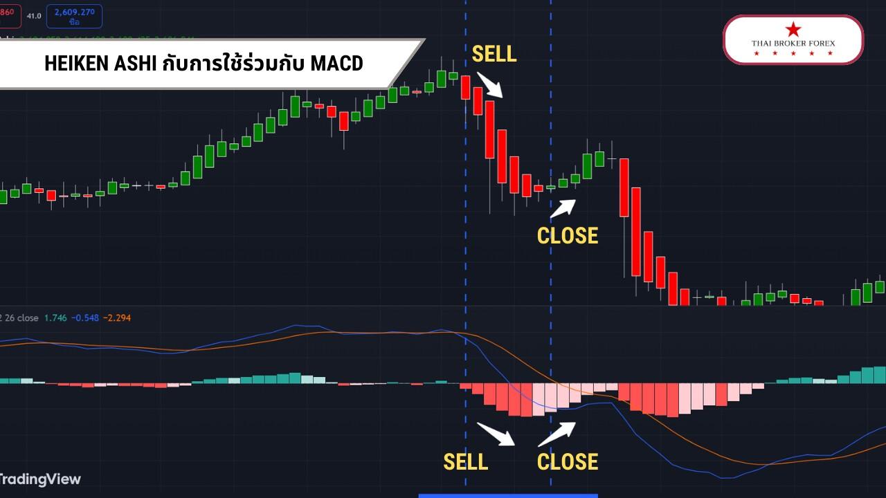 คู่มือการใช้งาน Heiken Ashi Indicator อย่างละเอียด