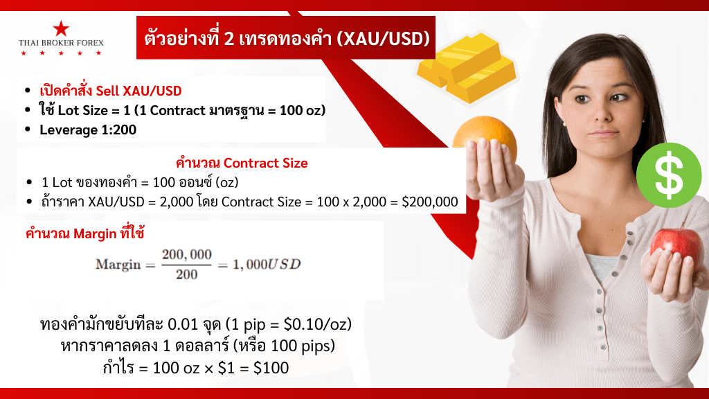 Contract Size คืออะไร? สำคัญต่อตลาดการเงิน และ Forex อย่างไร ⋆ Thai ...