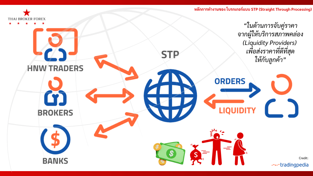 บัญชี STP คืออะไร? ความแตกต่างจากบัญชีอื่นในตลาด Forex ⋆ Thai Broker Forex